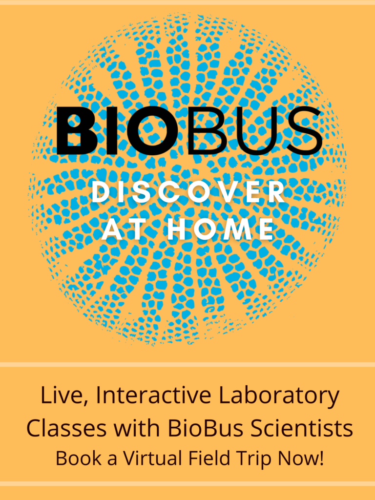 Discover at Home with BioBus | BioBus