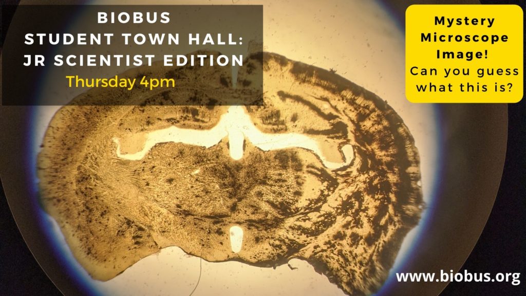 Biobus-student-town-hall | BioBus