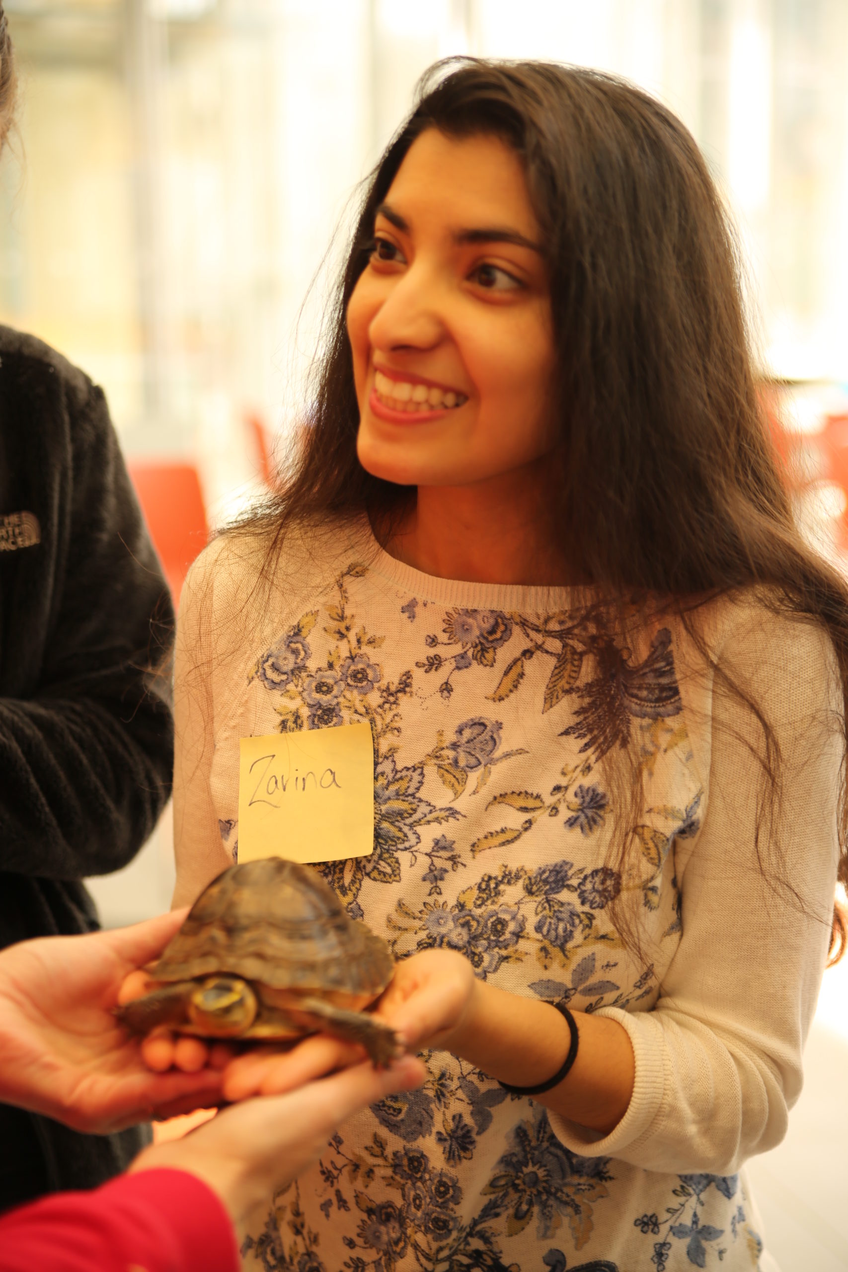 Daphnia in Microplastics | BioBus