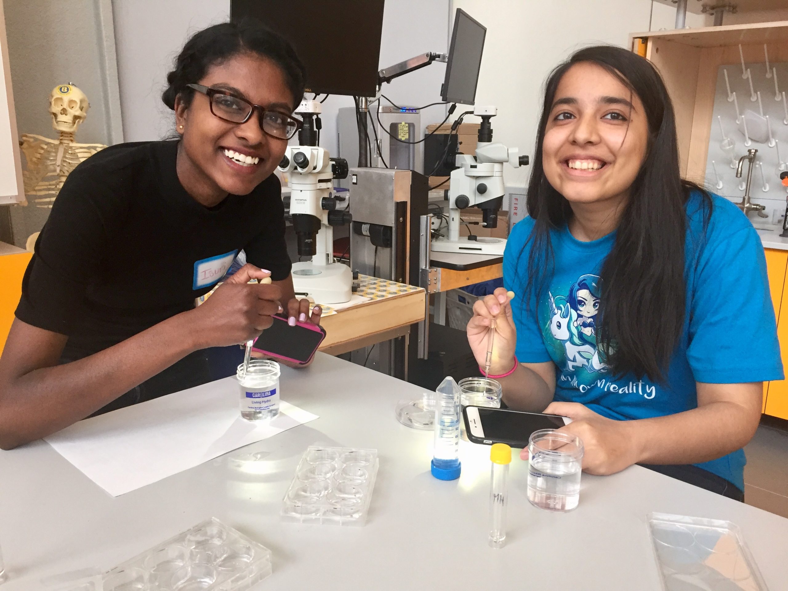 Can Hydra, an organism with no brain but a nerve network, be ...