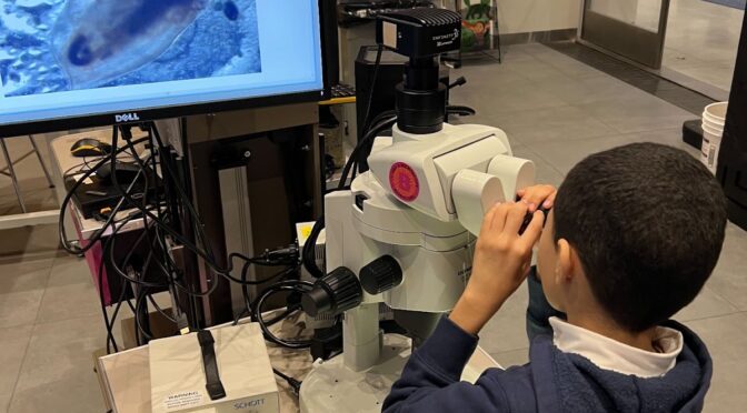 Pop-Up Lab at the 6th Annual D8 Science Expo in the Bronx | BioBus